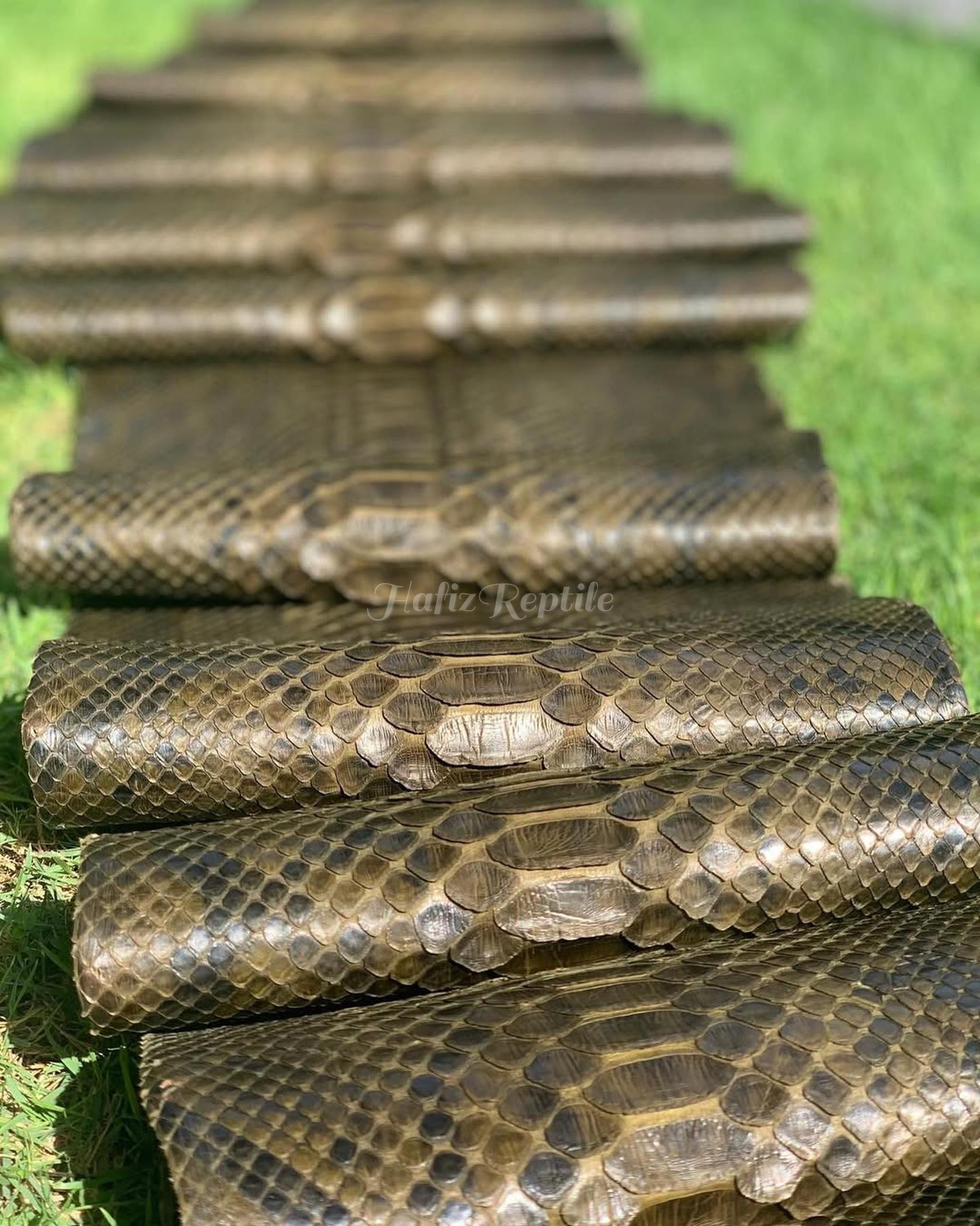 Genuine Python Leather Skin | Gold Reticulated Belly Skin Unbleached ...