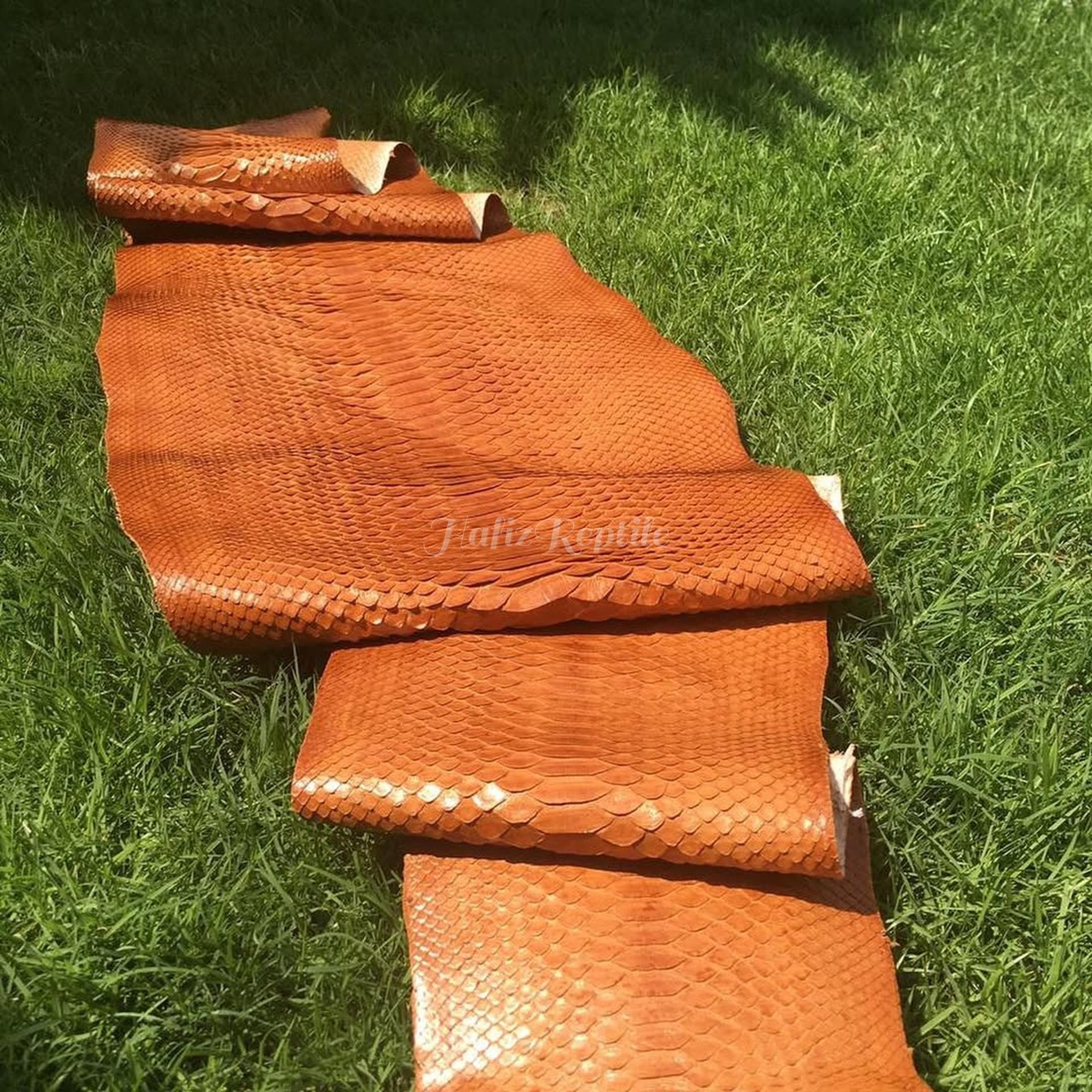 Genuine Python Leather Skin | Brunt Orange Reticulated Belly Skin ...