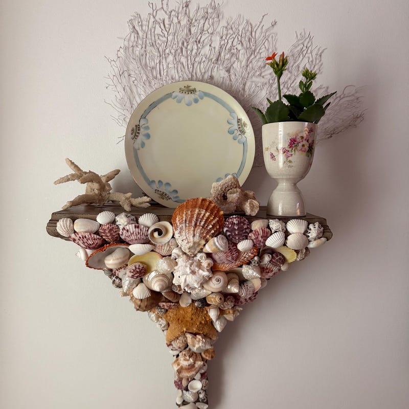 Shell Sconce - Etsy
