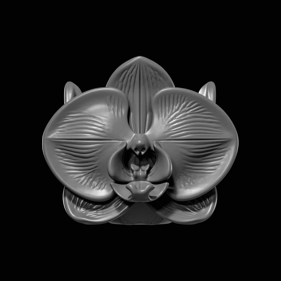 Orchid Planter,container&pencil Holder STL File for 3D Printing - Etsy