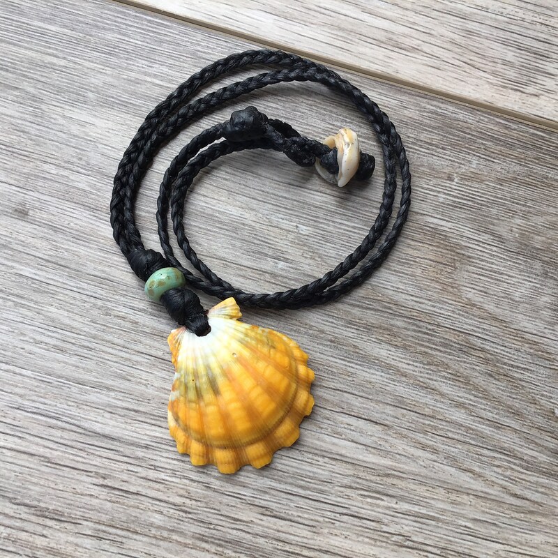 Sunrise Shell - Etsy