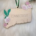 Connecticut Magnet Connecticut Magnet CT Magnet the Nutmeg - Etsy
