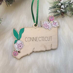 Connecticut Magnet, Connecticut Magnet, CT Magnet, the Nutmeg State ...