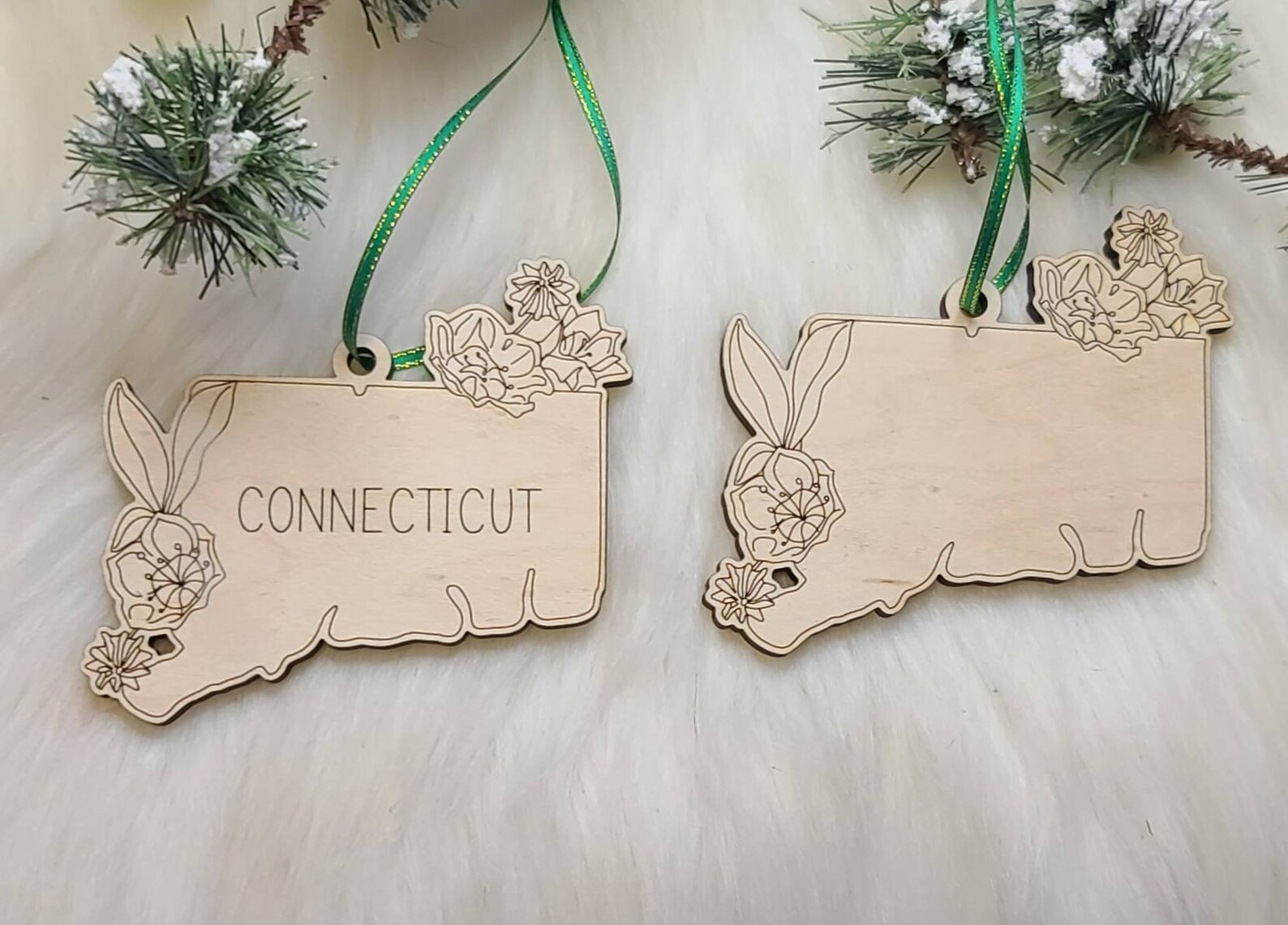 Connecticut Magnet, Connecticut Magnet, CT Magnet, the Nutmeg State ...