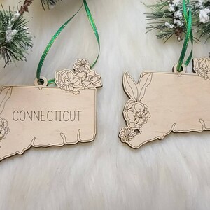 Connecticut Magnet, Connecticut Magnet, CT Magnet, the Nutmeg State ...