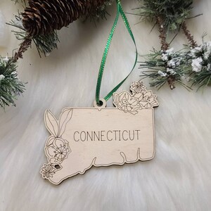 Connecticut Magnet, Connecticut Magnet, CT Magnet, the Nutmeg State ...