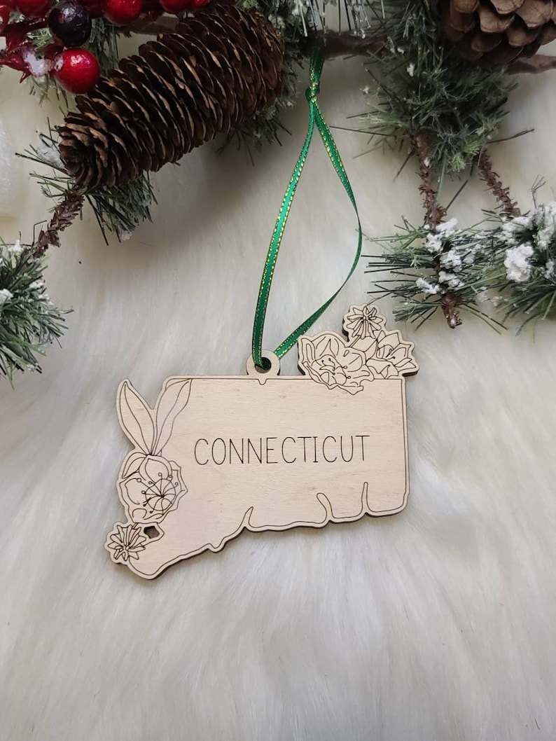 Connecticut Magnet, Connecticut Magnet, CT Magnet, the Nutmeg State ...