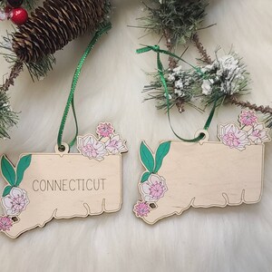 Connecticut Magnet, Connecticut Magnet, CT Magnet, the Nutmeg State ...