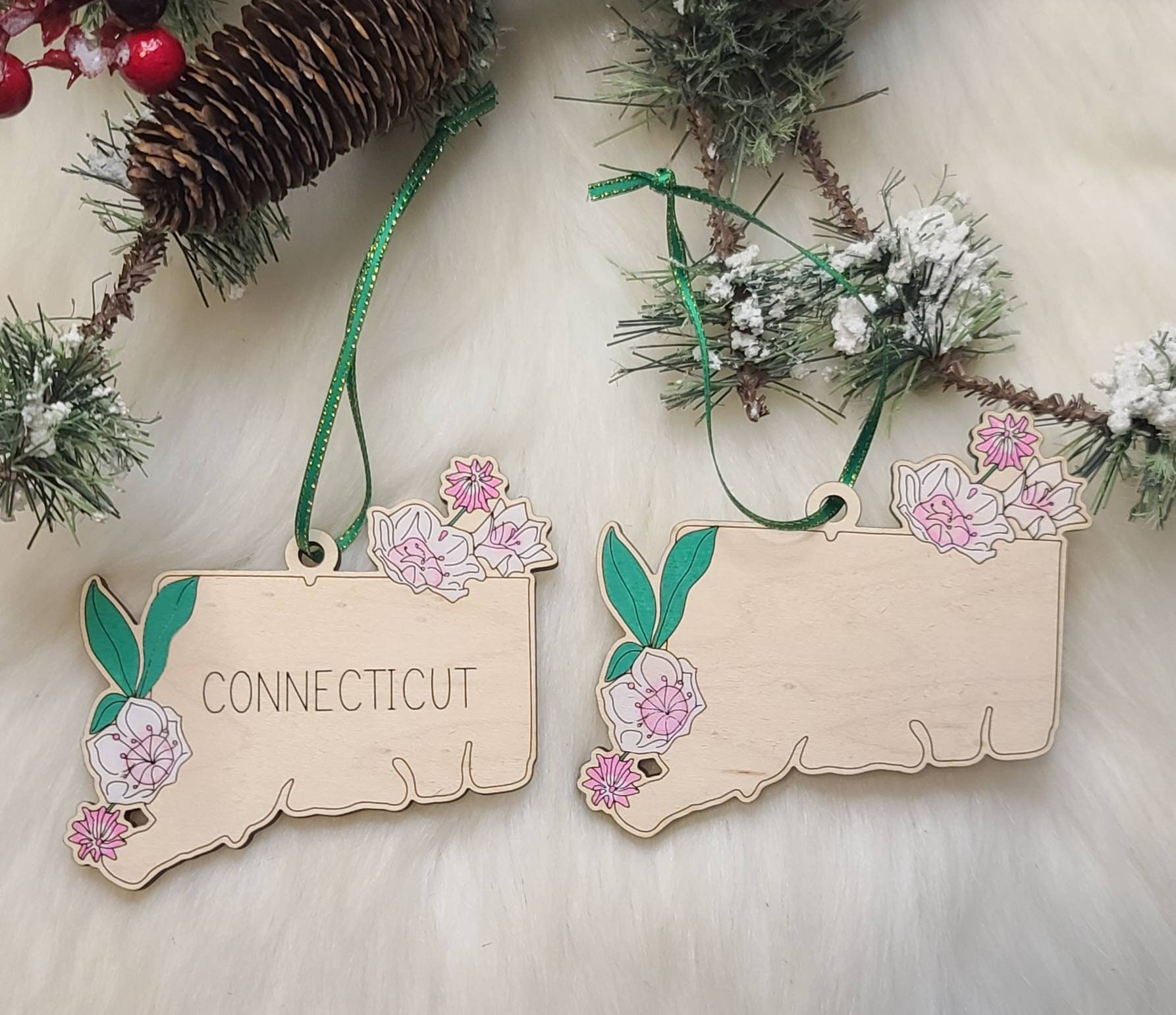 Connecticut Magnet, Connecticut Magnet, CT Magnet, the Nutmeg State ...