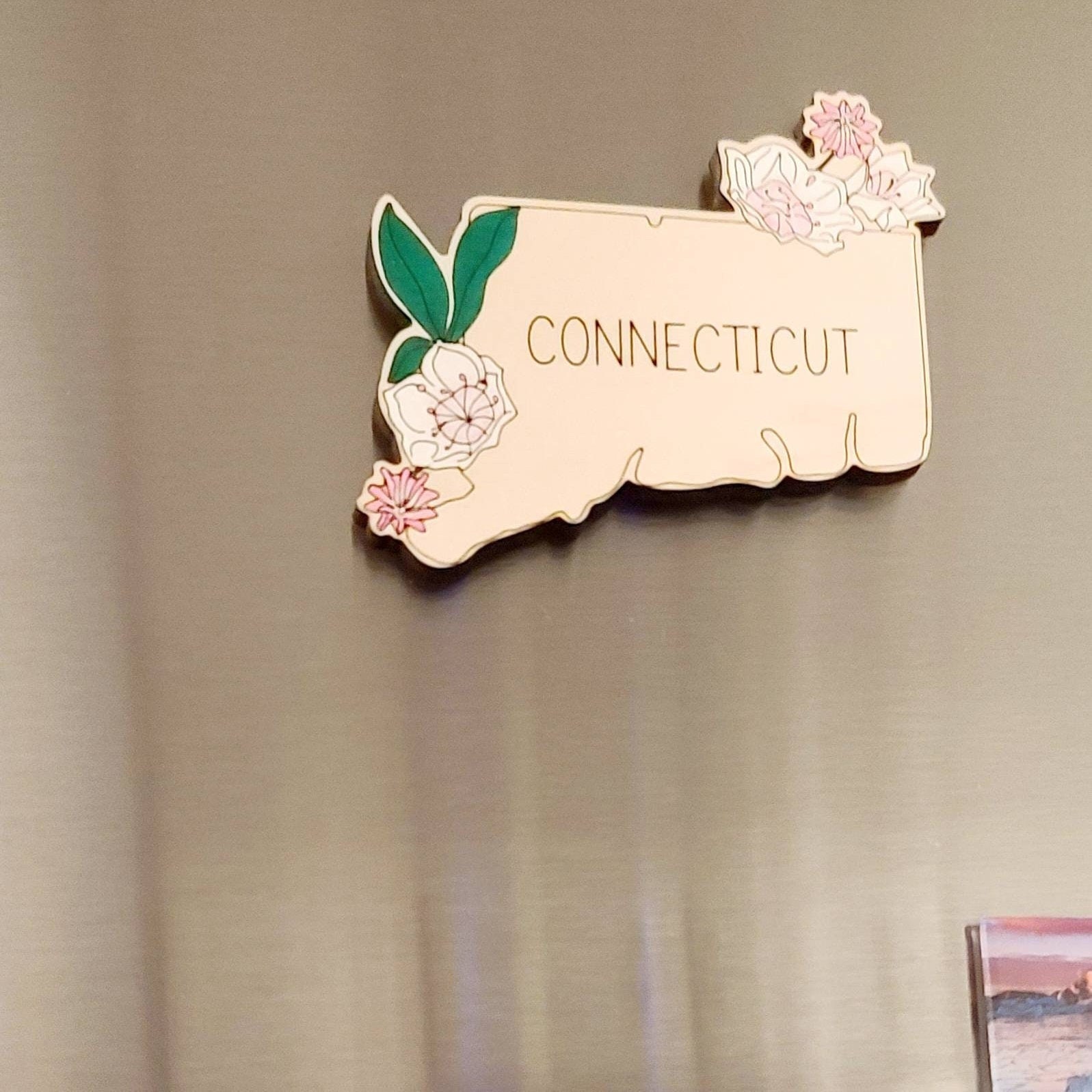 Connecticut Magnet, Connecticut Magnet, CT Magnet, the Nutmeg State ...