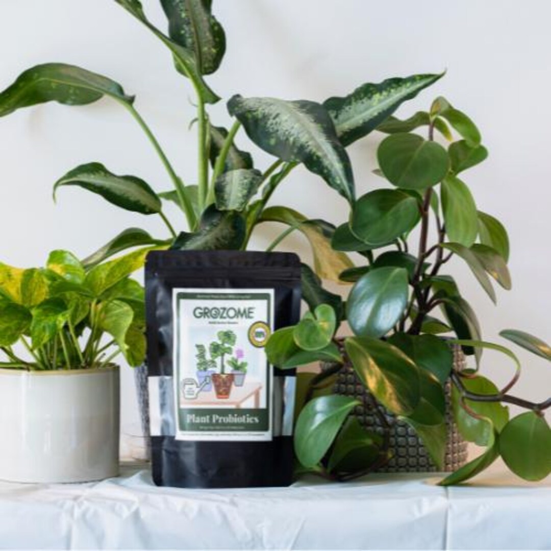 Instant Compost Extract Kit - Etsy