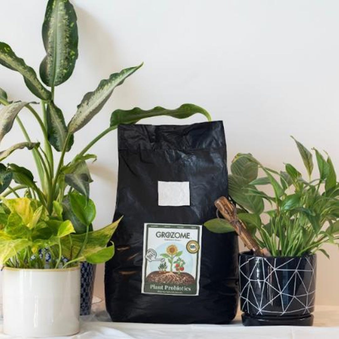 Instant Compost Tea Extract Kit - Etsy