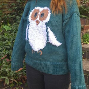Owl Sweater KNITTING PATTERN in Pdf - Oliver Owl Jumper for Adults ...