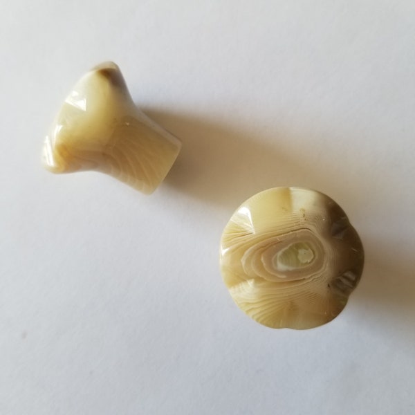 Bone Knobs - Etsy UK