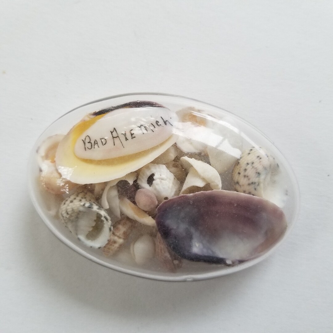 Antique Bad Axe Michigan Seashell Glass Souvenir Paperweight / Glass ...