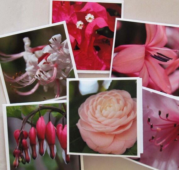 Items similar to Pink flowers photo Mini Cards or Gift Tags (set of 6 ...
