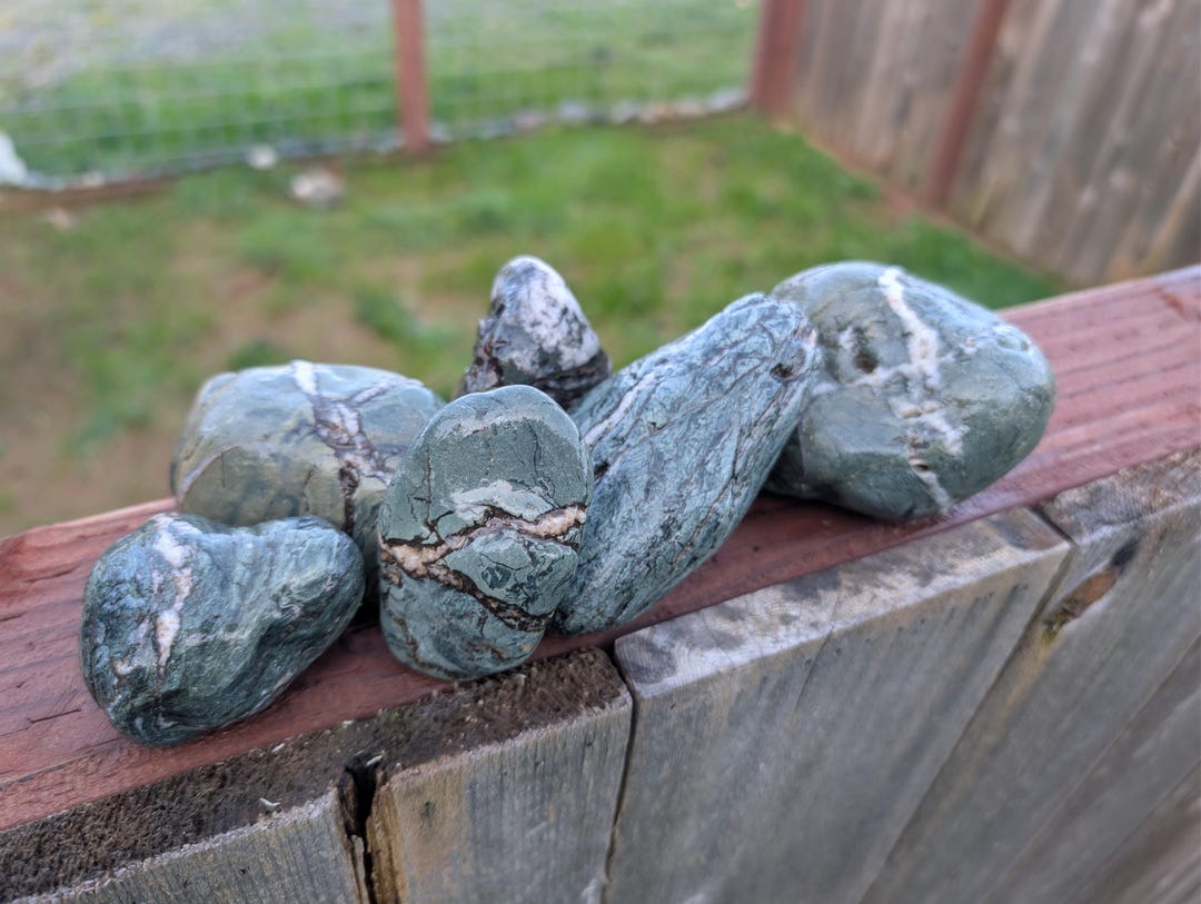 Quartz-veined Greenstone | Metamorphic Basalt Cobble Lot | River-worn ...