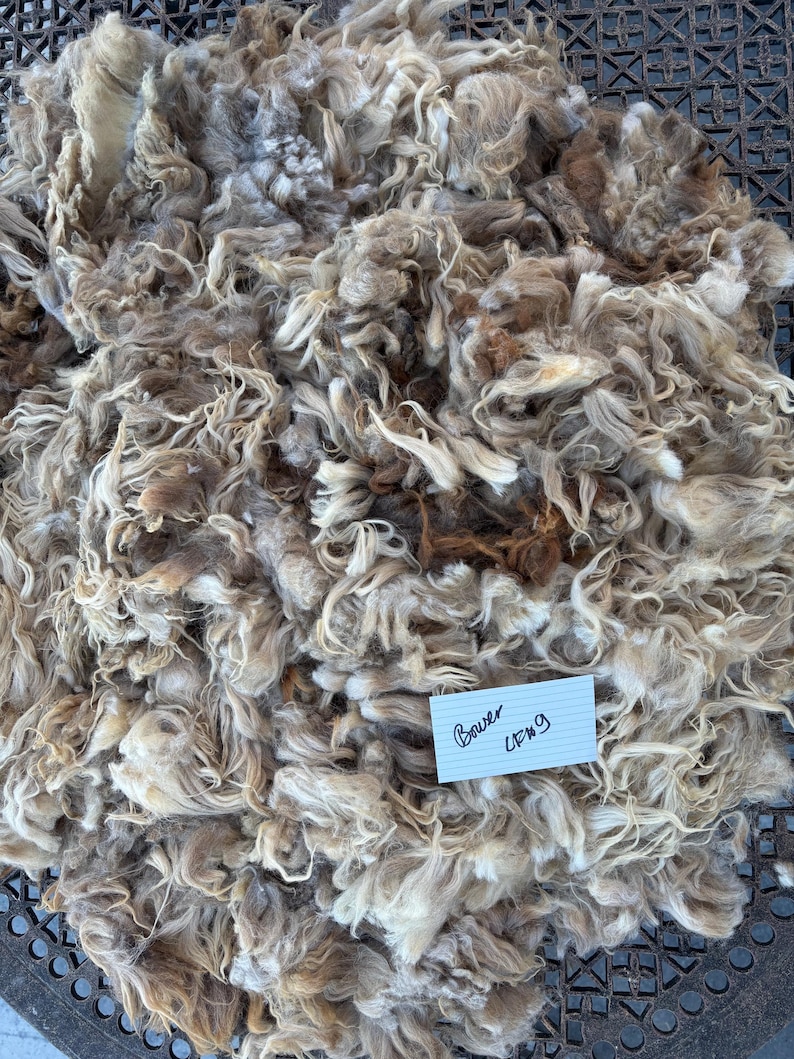 Navajo-churro Lamb Fleece – Bowser – 2lb Tan and Brown, Soft Coarse ...