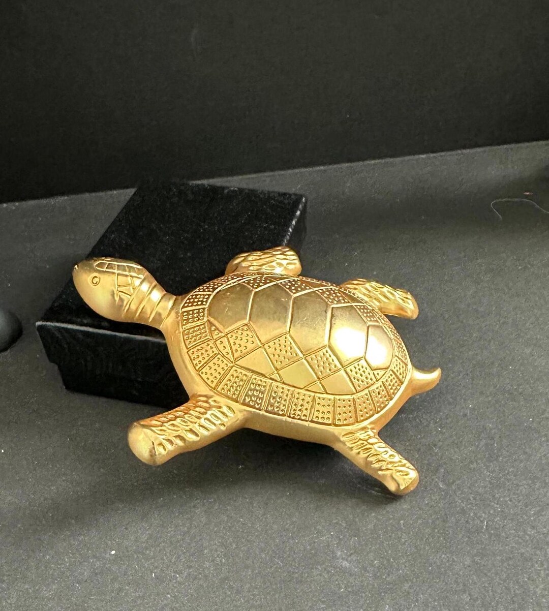 Vintage Large Turtle Belt Buckle Gold Tone - Etsy