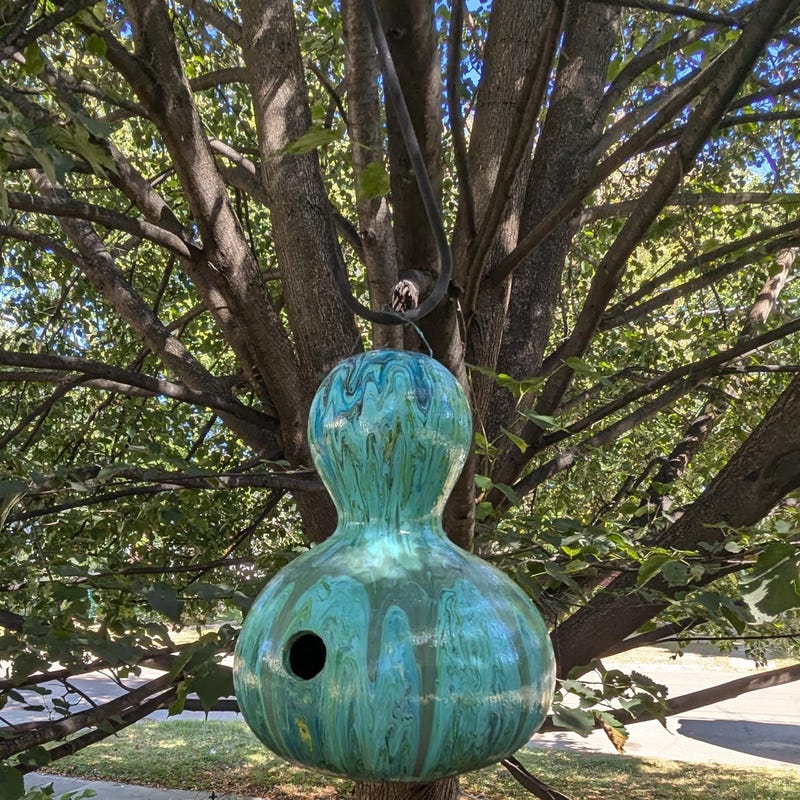 Gourd Bird House - Etsy