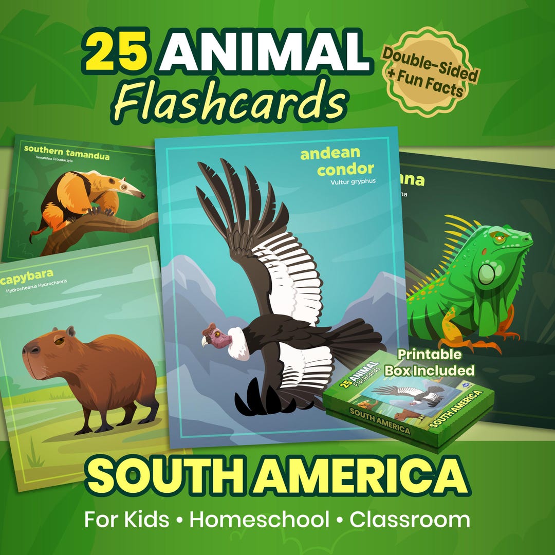 South American Animal Species Flashcards – 25 Printable Double-sided ...