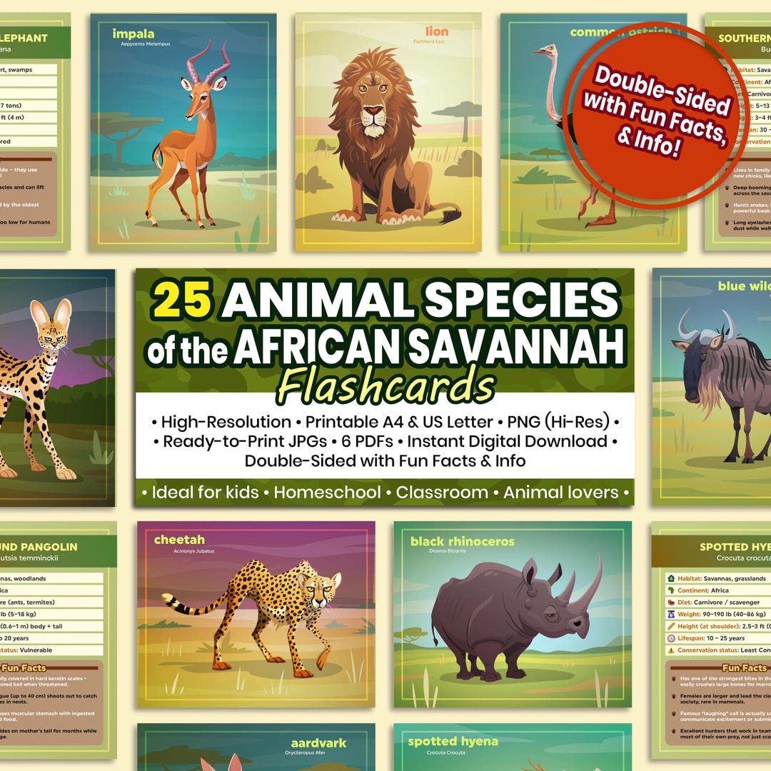 African Savannah Animal Species Flashcards – 25 Printable Double-sided ...