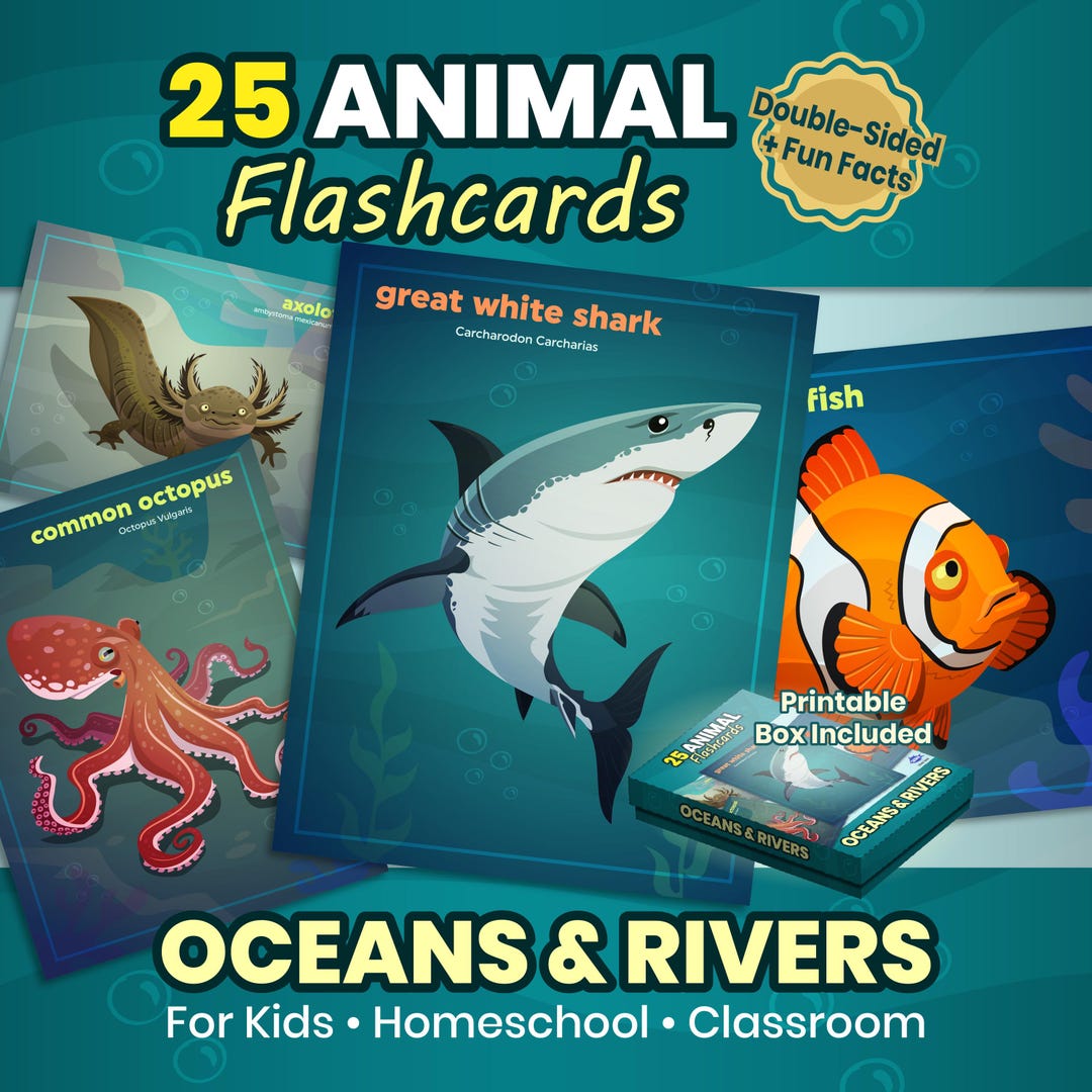 Oceans and Rivers Animal Species Flashcards – 25 Printable Double-sided ...