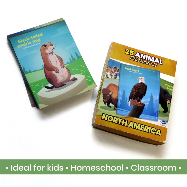 North America Animal Species Flashcards – 25 Printable Double-sided ...