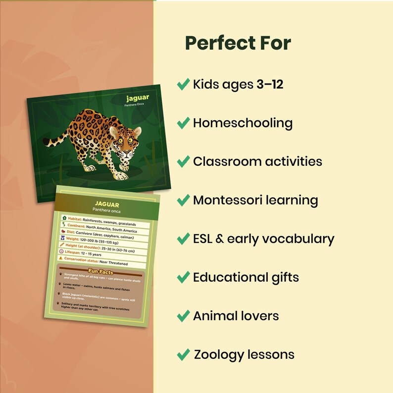 South American Animal Species Flashcards – 25 Printable Double-sided ...