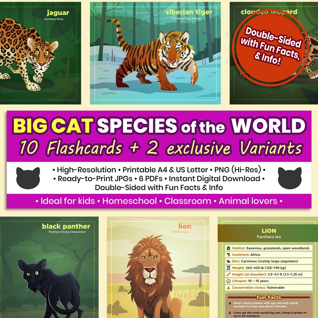 Big Cats Flashcards Printable – 10 Species + 2 Bonus Double-sided Cards ...