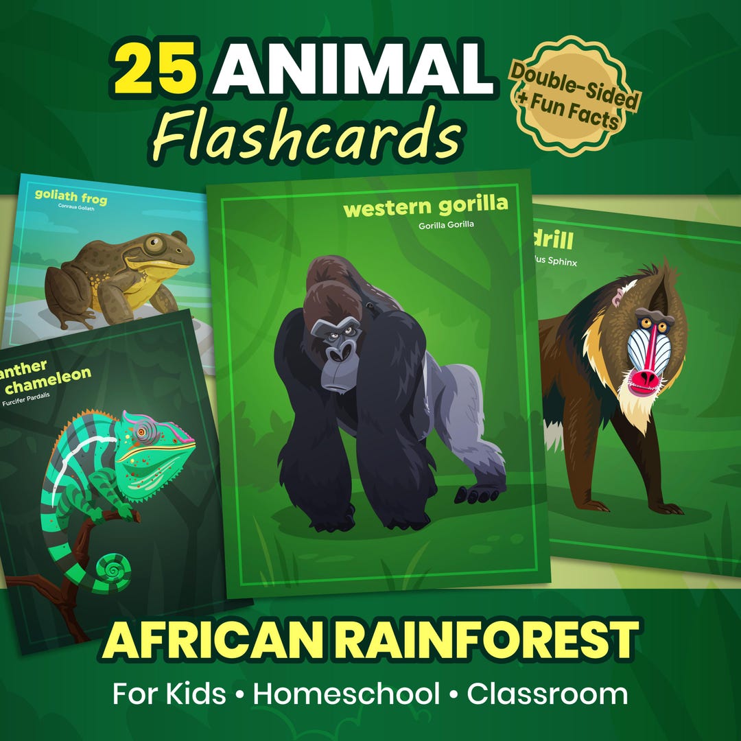 African Rainforest Animal Species Flashcards – 25 Printable Double ...