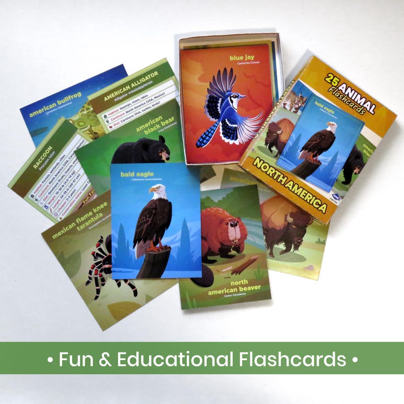 North America Animal Species Flashcards – 25 Printable Double-sided ...