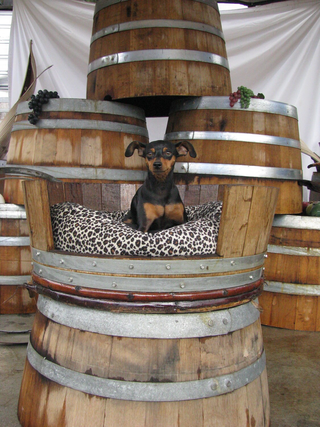 Authentic Oak Wine or Whiskey Barrel Pet Bed - Etsy