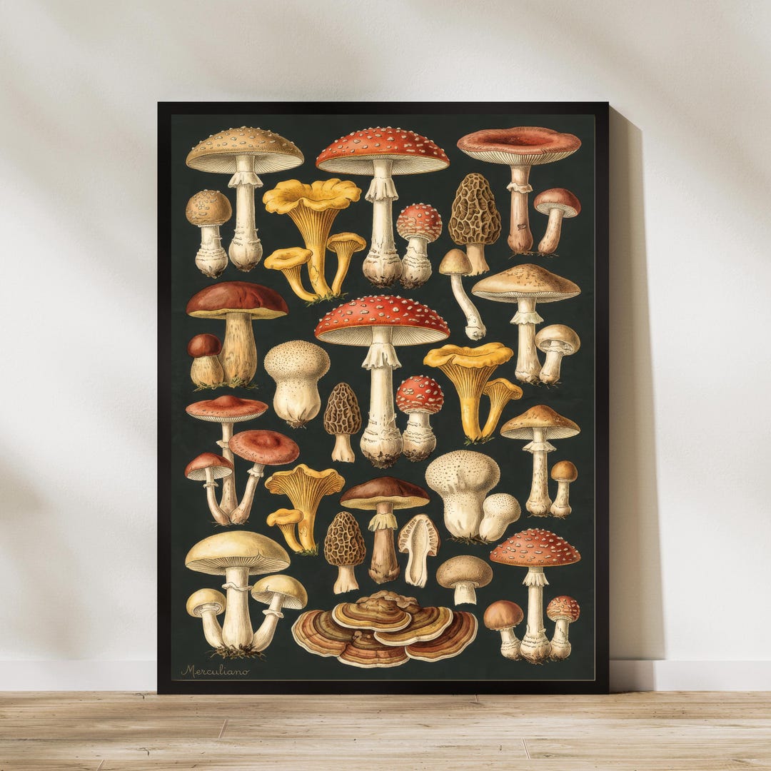 Vintage Mushroom Poster Botanical Fungi Art Wild Mushroom Print ...
