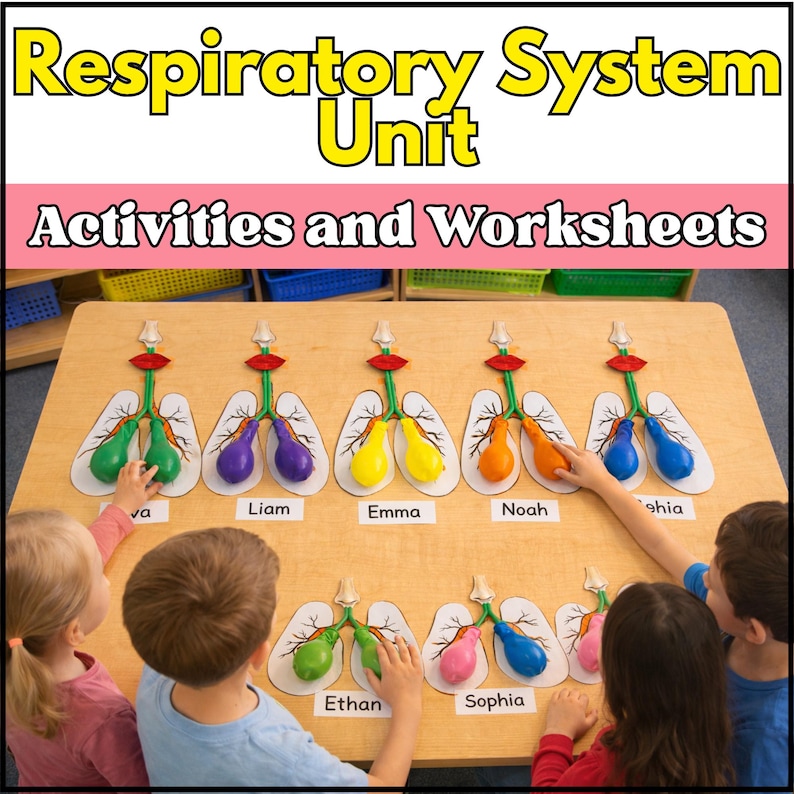 Respiratory System Unit Activities, Lung Model Craft, Gas Exchange ...