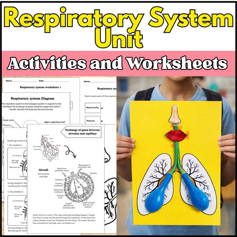 Respiratory System Unit Activities, Lung Model Craft, Gas Exchange ...