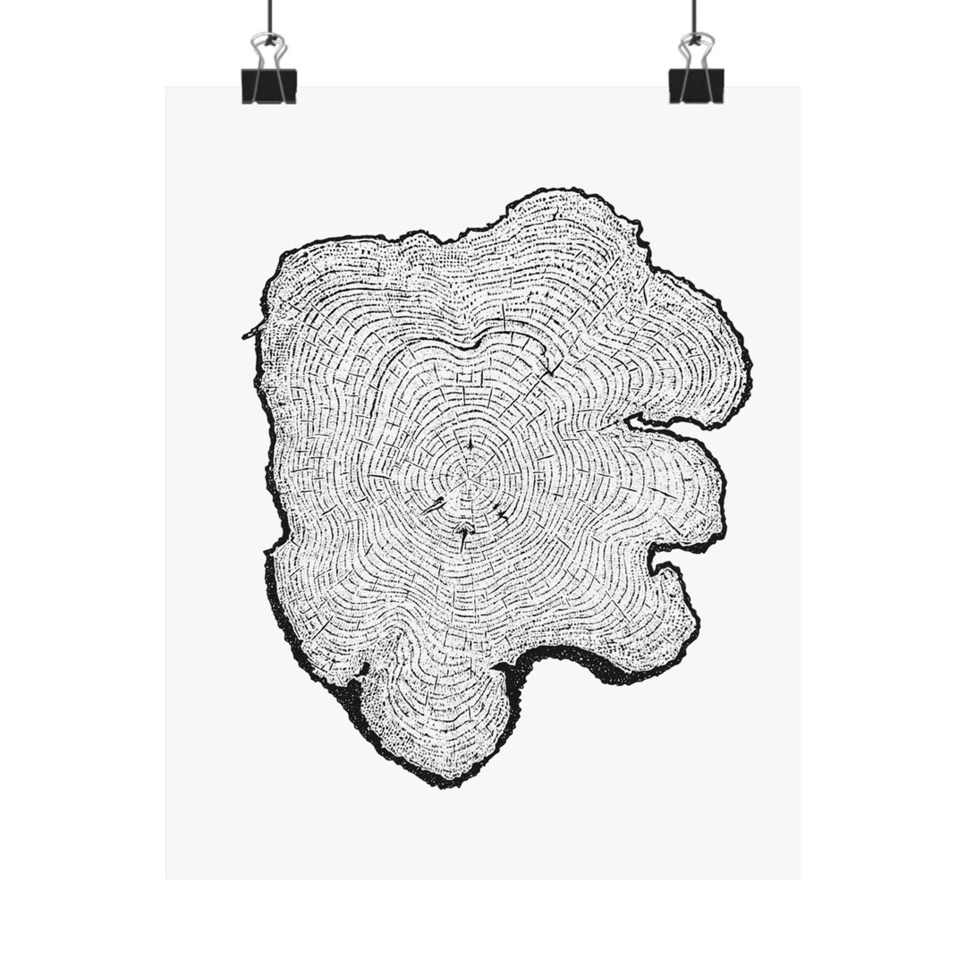 Tree Ring Cross Section Poster | Black White Minimal Botanical Art - Etsy