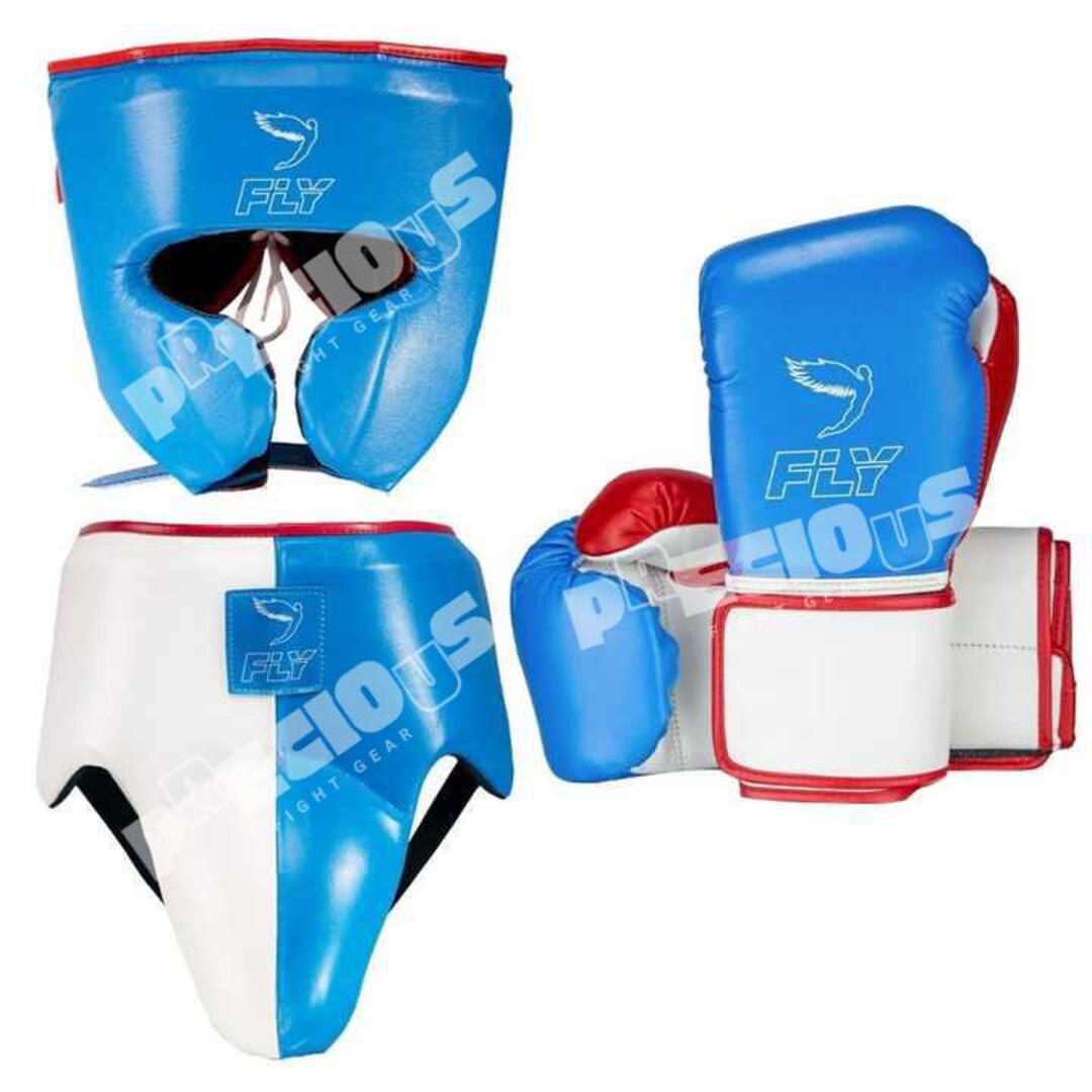 Fly Boxing Set –premium Boxing Gloves, Head Guard & Groin Guard – Pro ...