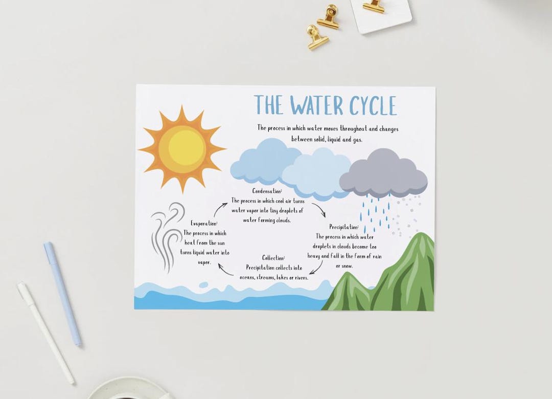 Digital Anchor Charts - Etsy