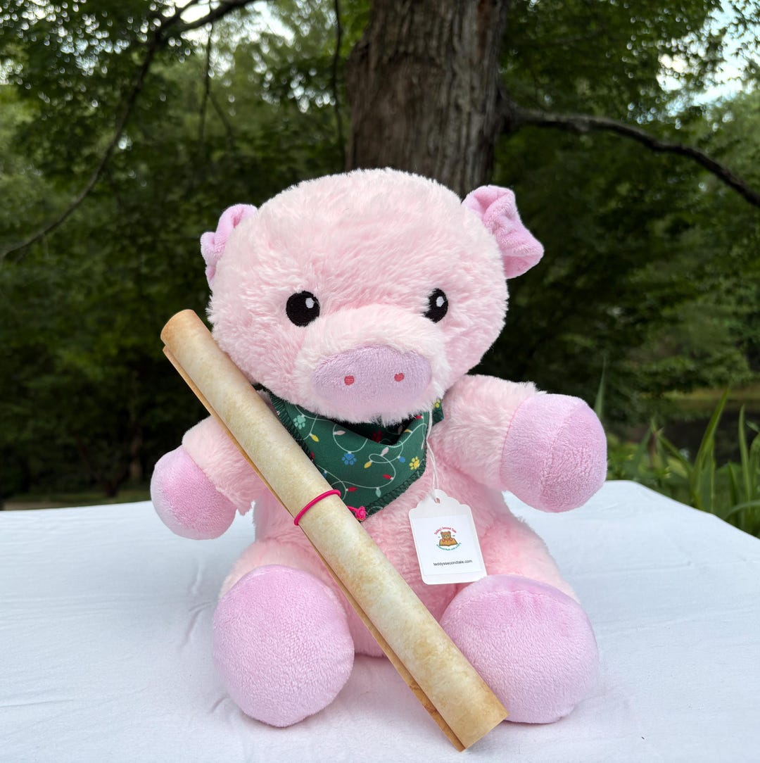 Petal the Pig Plush – Second-chance Stuffed Animal With Story Scroll ...