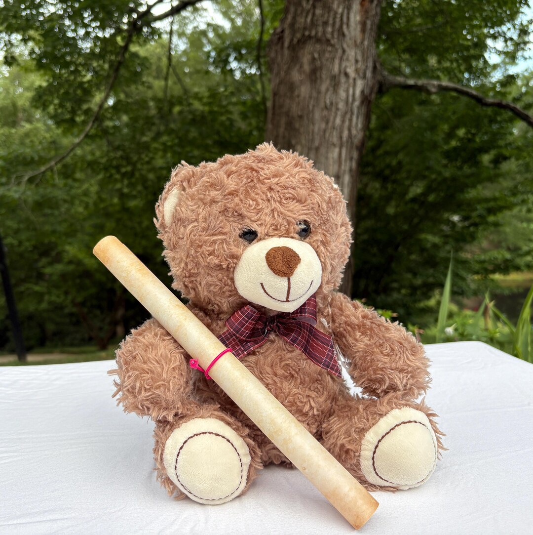 Benny the Bear Plush – Second-chance Stuffed Animal With Story Scroll ...