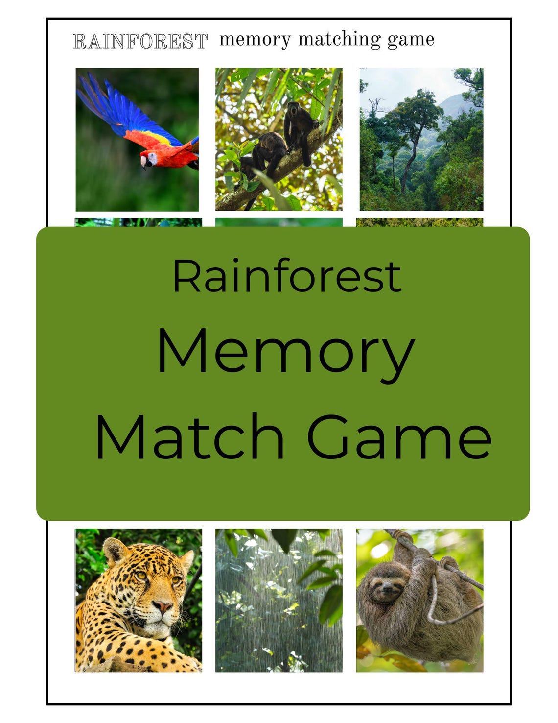 Rainforest Animals Matching Memory Game Printable | 12 Picture Cards ...