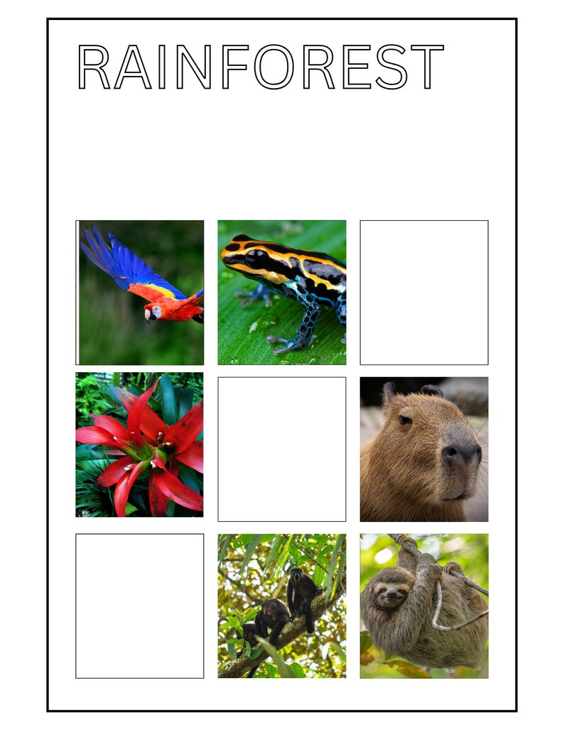 Rainforest Animals Matching Memory Game Printable | 12 Picture Cards ...