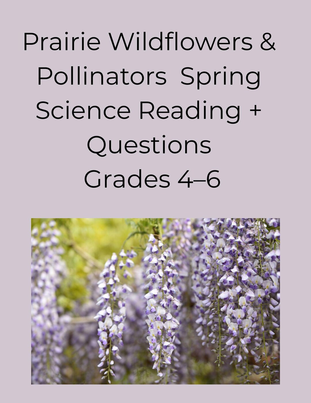 Prairie Wildflowers & Pollinators Reading Passage | Spring Science ...