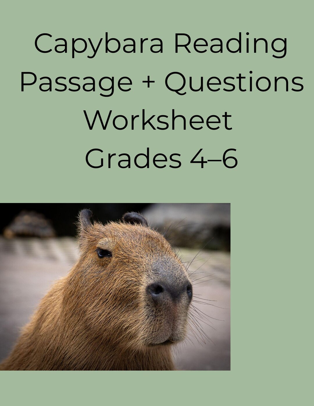 Capybara Reading Passage + Questions (rainforest Animals Worksheet ...