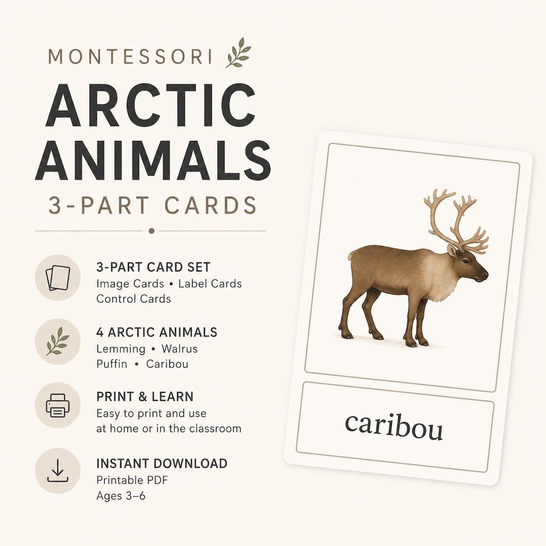 Montessori Arctic Animal 3-part Cards Printable Set 2 | Preschool ...