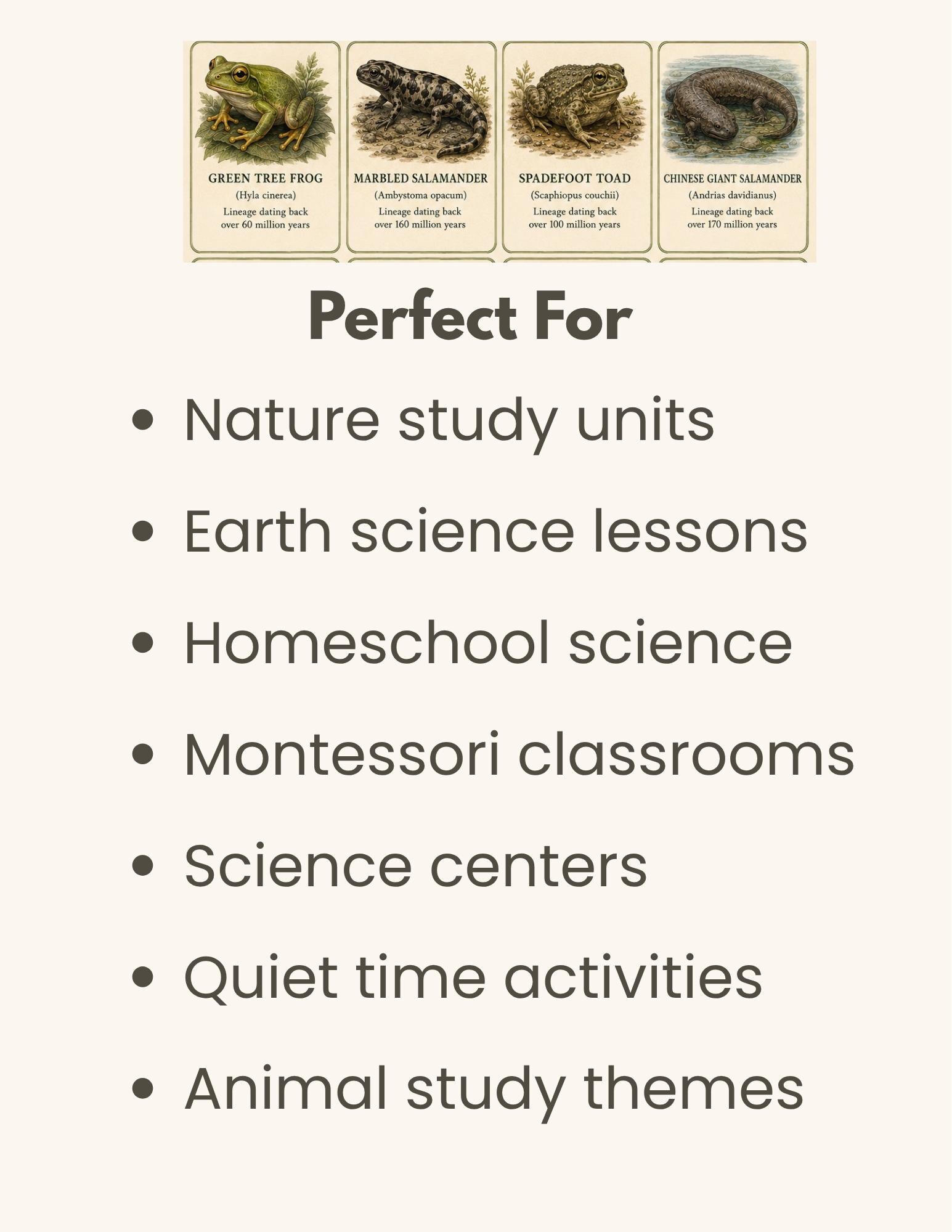Ancient Amphibians Match Game Printable | Montessori Science Activity ...