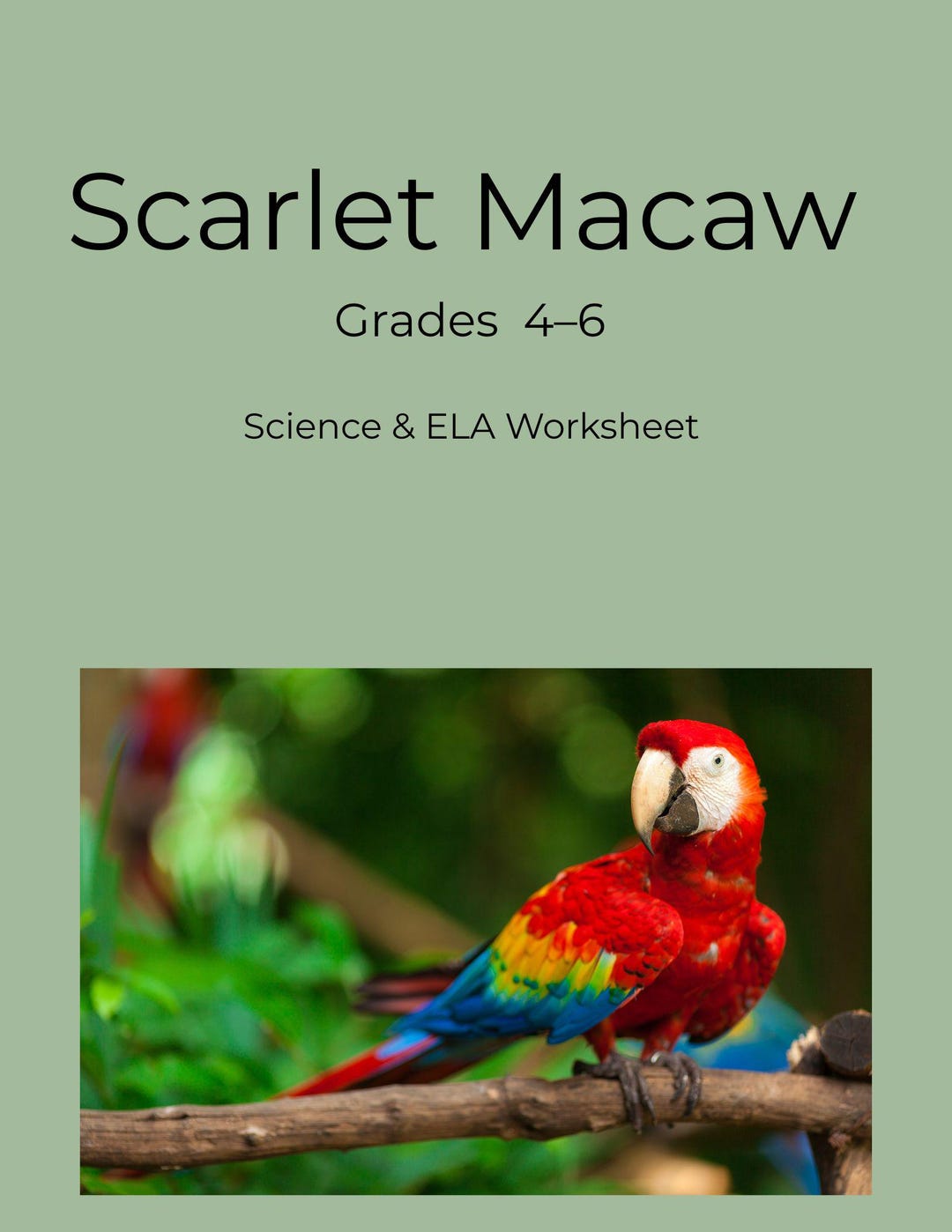 Scarlet Macaw Reading Passage and Comprehension Questions Grades 4–6 ...