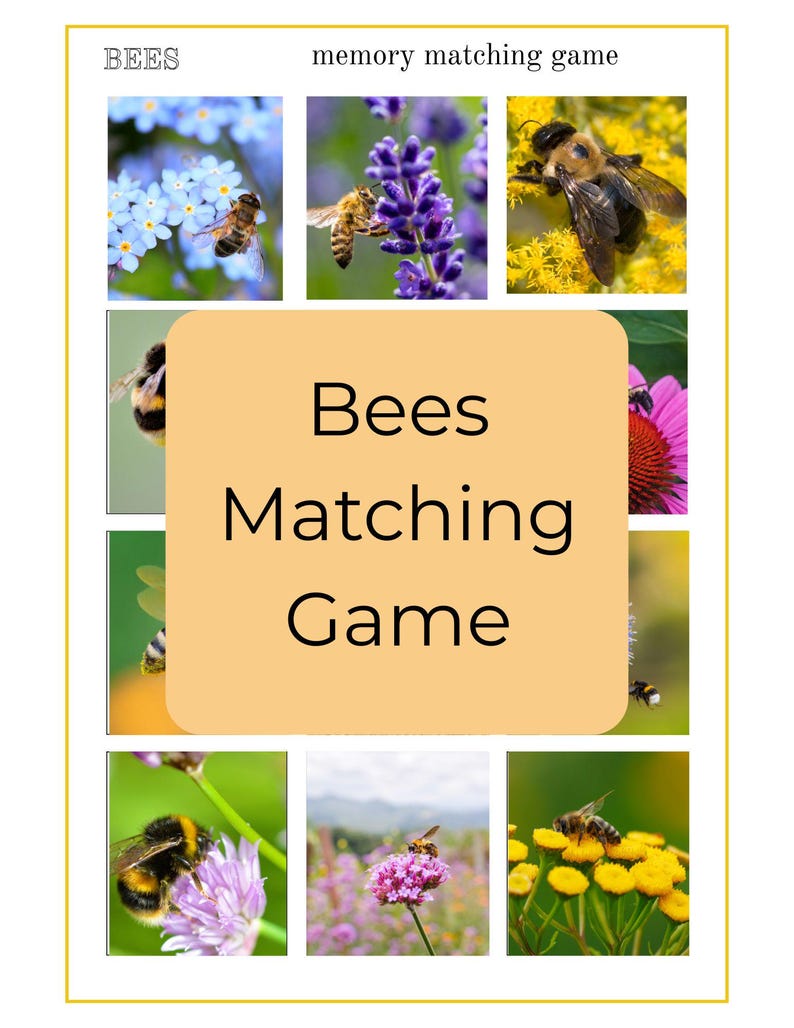 Bee Memory Matching Game Printable | Pollinators Science Center ...