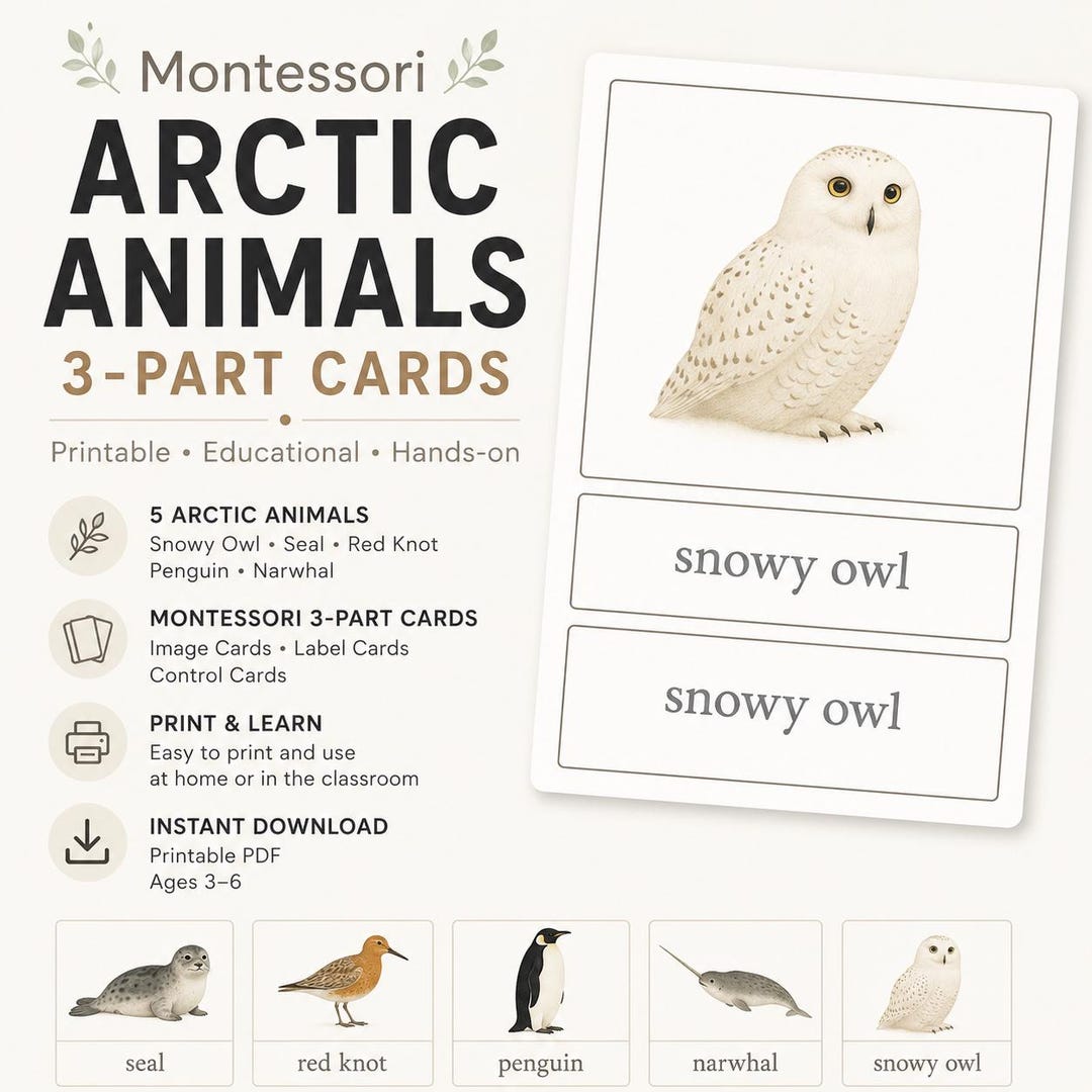 Montessori Arctic Animals 3 Part Cards Printable Snowy Owl Seal Narwhal ...